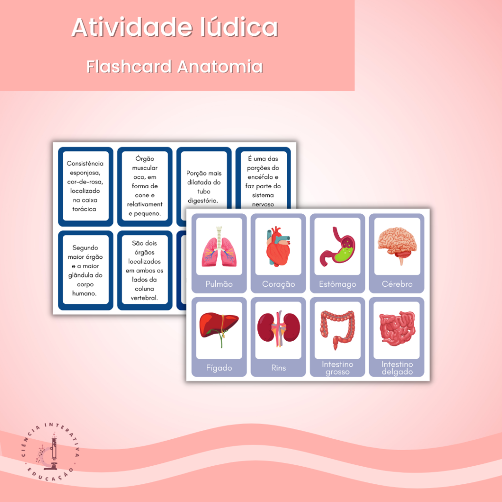Flashcard Anatomia Ciência Interativa
