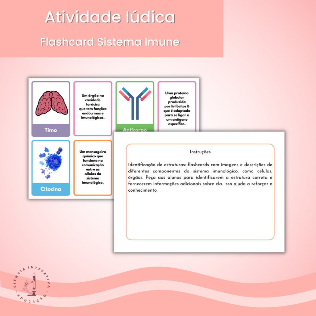 Flashcard Anatomia Ciência Interativa