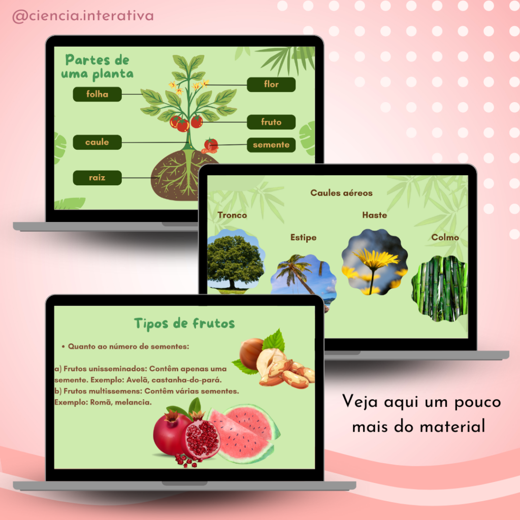 Anatomia vegetal – Ciência Interativa