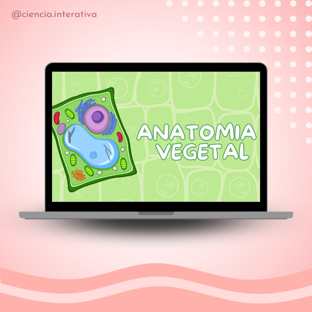 Anatomia vegetal – Ciência Interativa