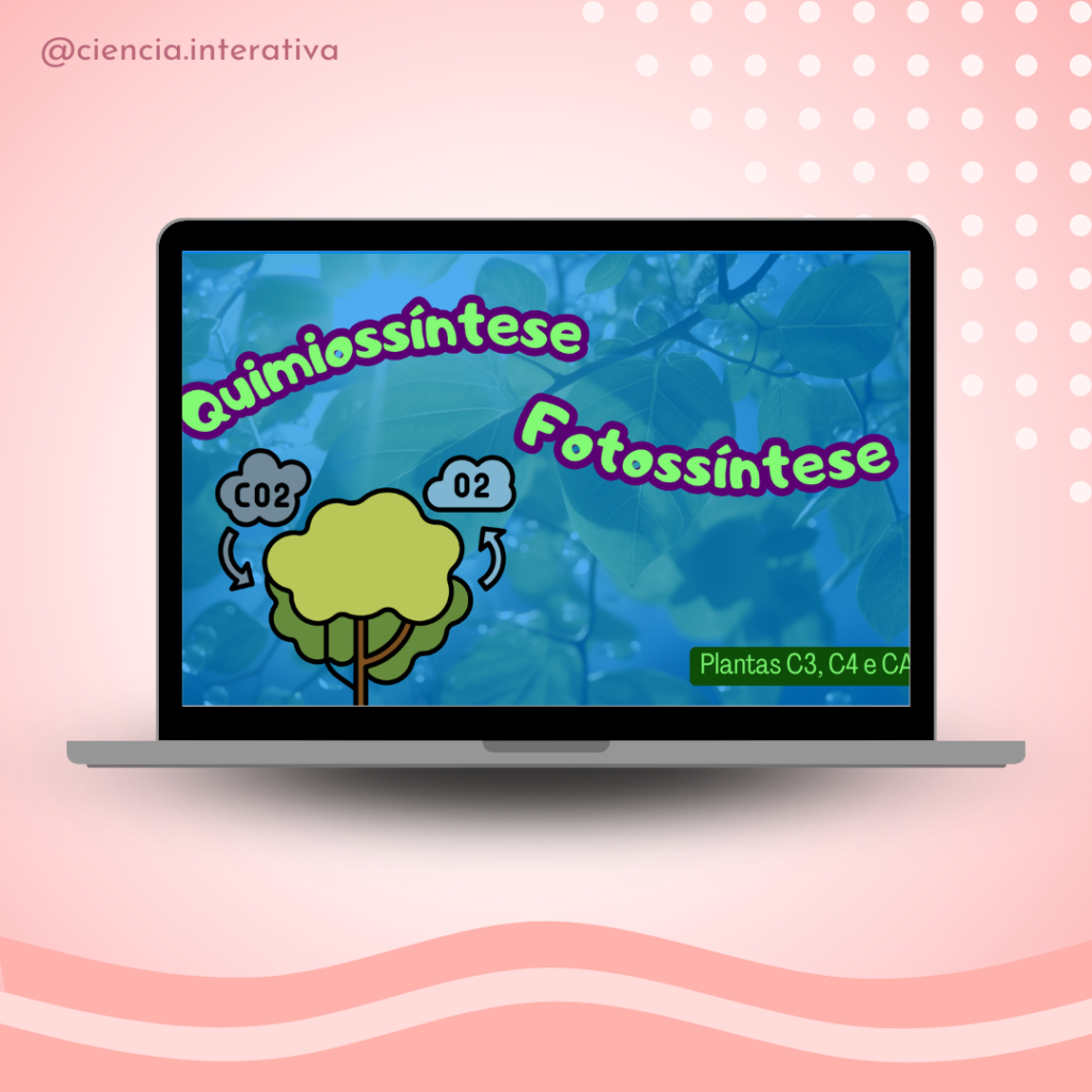 Quimiossíntese e fotossíntese – Ciência Interativa